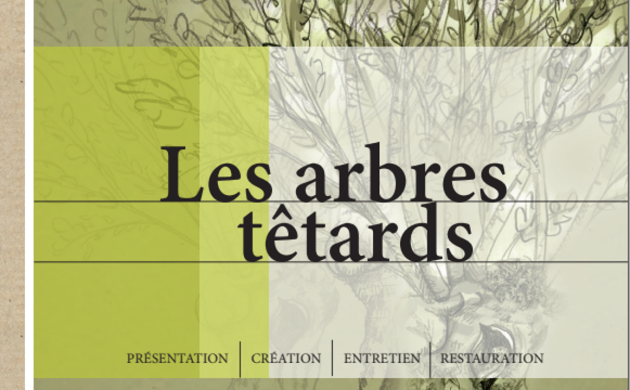 Brochure sur les arbres têtards - Life
